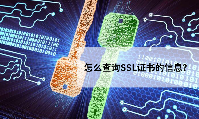 怎么查询SSL证书的信息？