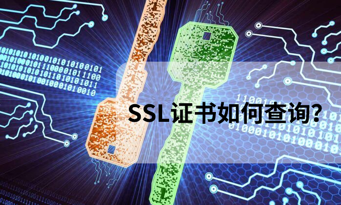 SSL证书如何查询？