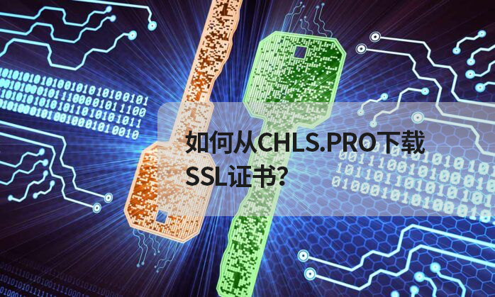 如何从 chls.pro 下载 SSL 证书？