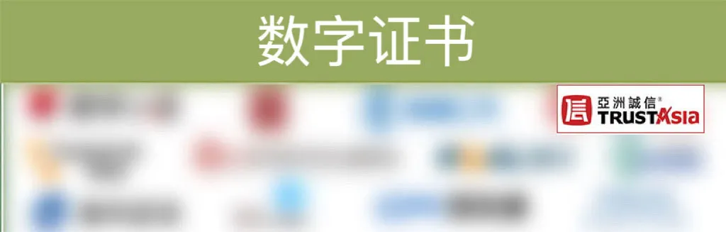 亚数TrustAsia入选数说安全《2025年中国网络安全市场全景图》
